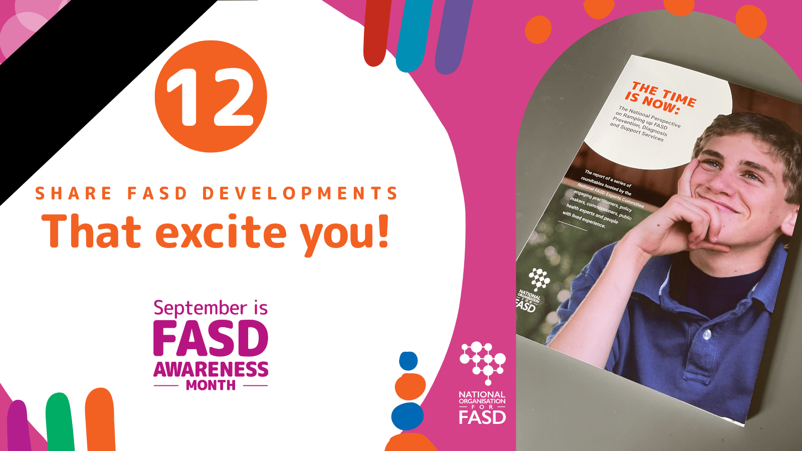 12 - FASD Developments That Excite You! - National FASD
